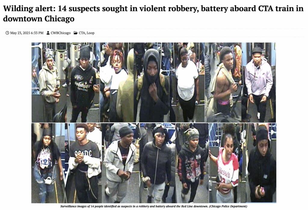 What's Behind Chicago's Welcome, But Belated, Drop In Crime? | ZeroHedge