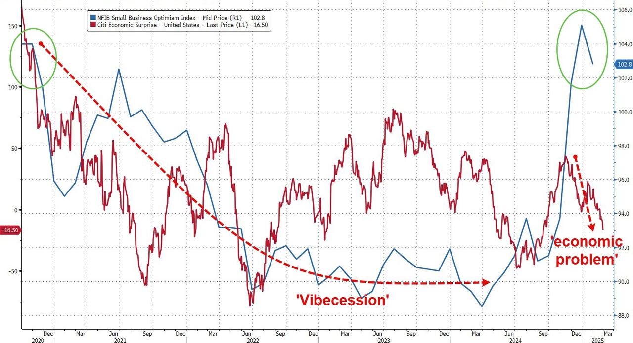 Citizen free Press reports on DOGE-Stunning - Forums