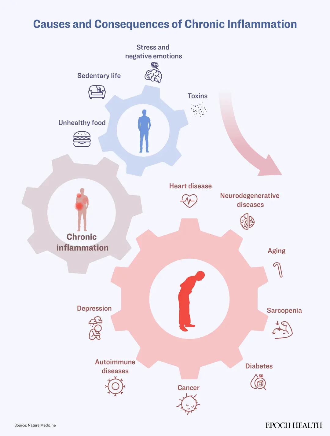 Inflammation: The Body's 'Fire' Burns Threats, But Things Go Wrong When ...