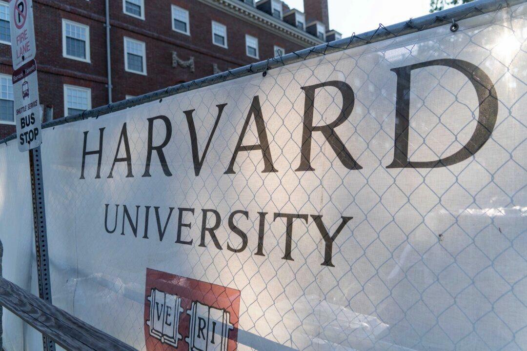 Harvard Says It Will Comply With DHS Request To Hand Over Employment ...