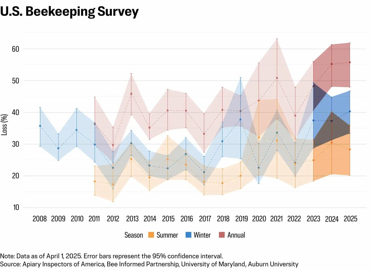 Record US Honey Bee Losses And What ‘Mite’ Be Behind Them | The Liberty ...
