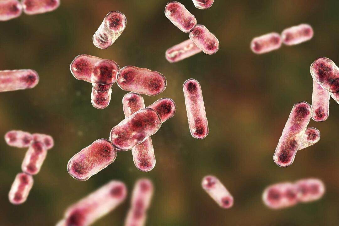 Cambridge Researchers Find Gut Bacteria Could Help Remove 'Forever ...